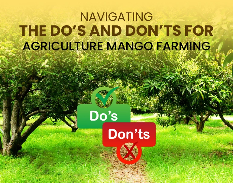 Mango farm production trends for 2024-2025: An estimated 4.2% increase ...