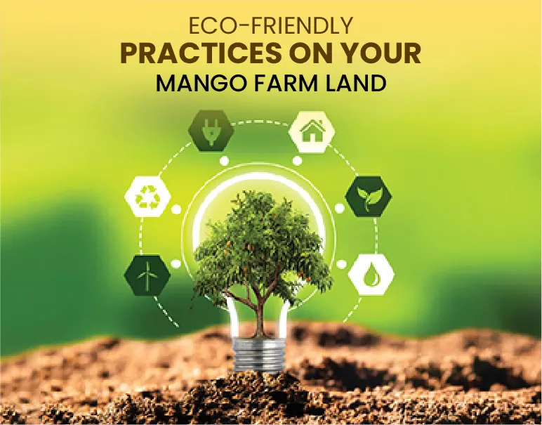 A Beginner's Guide to Organic Vegetable Farming | MFARMS Blog