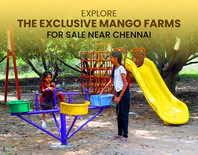 Team Detailing Solutions Chennai Rewards Employees with 28 Cars and 29 ...