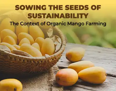 A Beginner's Guide to Organic Vegetable Farming | MFARMS Blog